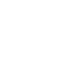 Digital Marketing Landing | Aslicecode